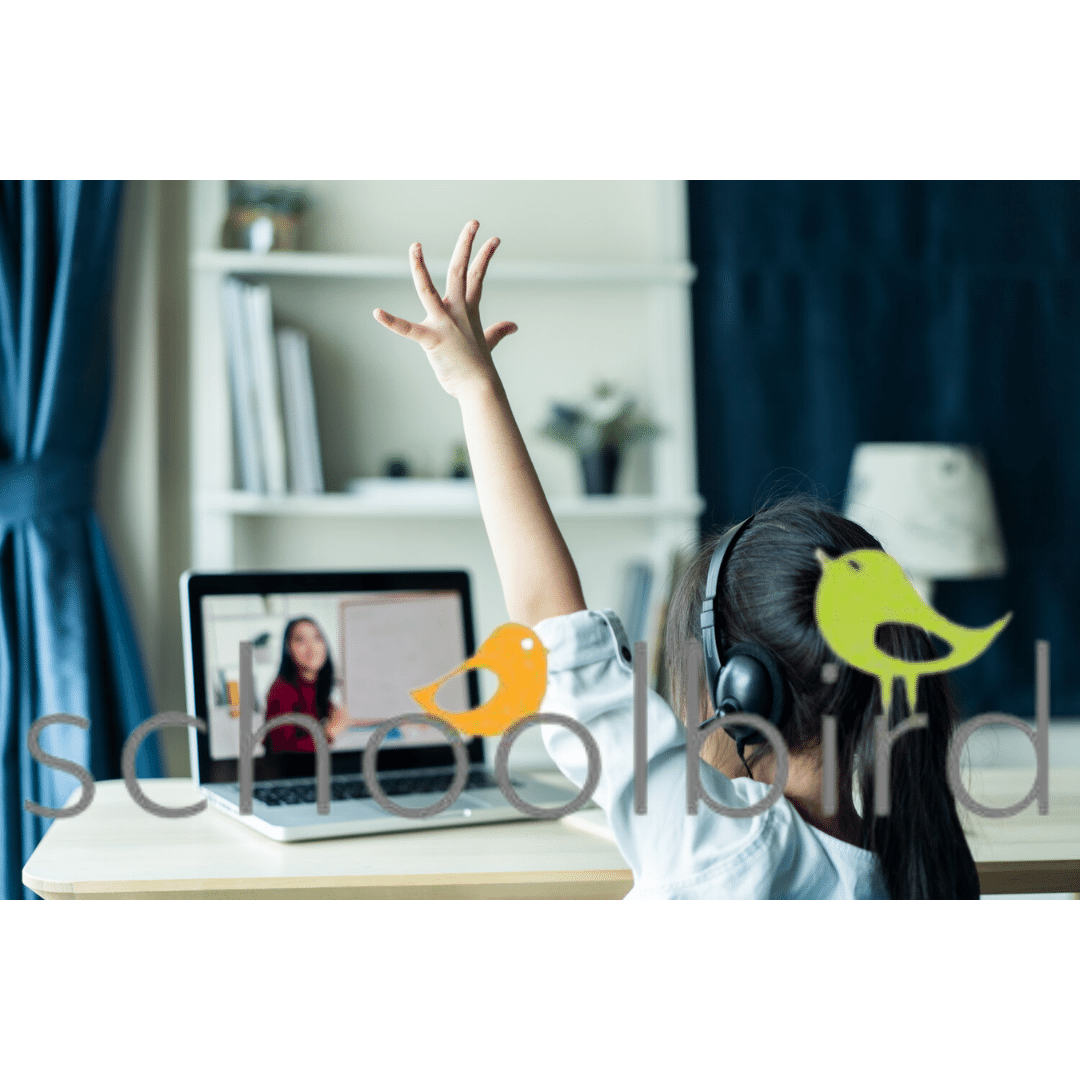 Dạy kèm tại nhà, theo yêu cầu, bởi các gia sư trình độ đại học có trình độ | Schoolbird